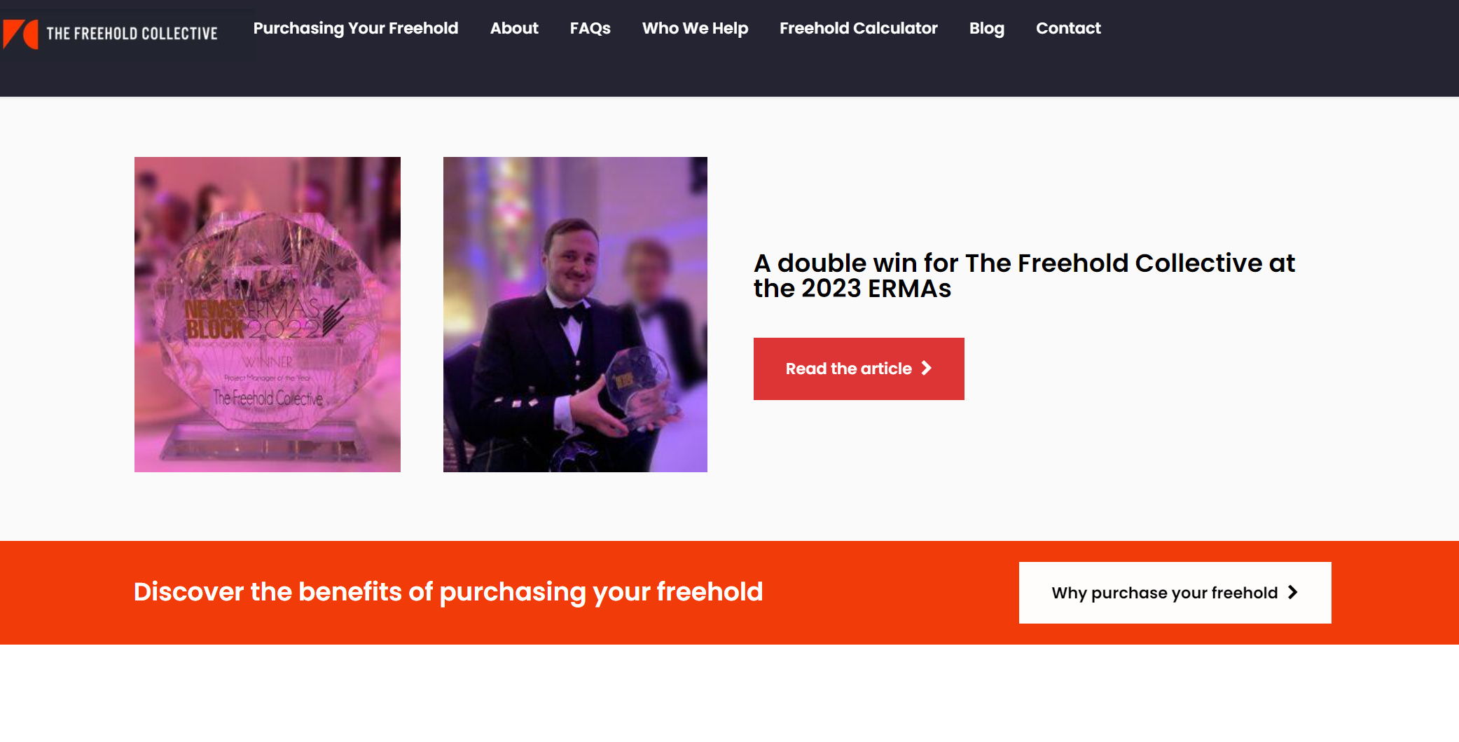 The Freehold Collective - DANDY